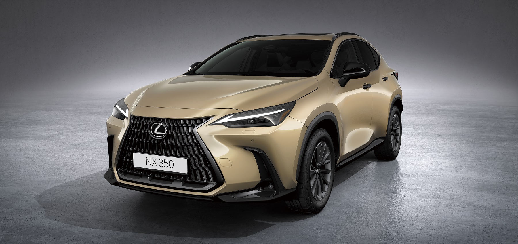 堅持革新 方能勇敢前行LEXUS New NX 25MY | 一手企劃 | CARNEWS